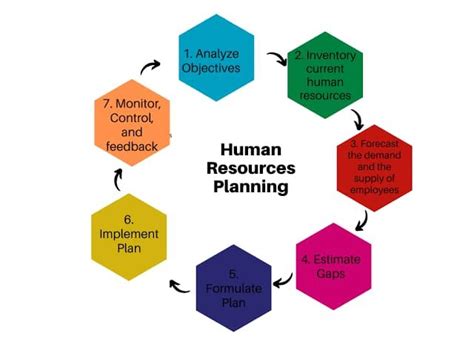 Hrinsightshub Humanresourceplanning Workforcedevelopment Hrstrategies Successionplanning
