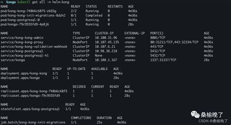 k8s部署kong helm 和konga yaml helm kong csdn博客