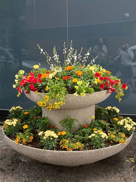 Plantering — Vi Erbjuder Skräddarsydd Markdesign Abtot