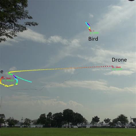 Results From Multi Class Linear Support Vector Classification With
