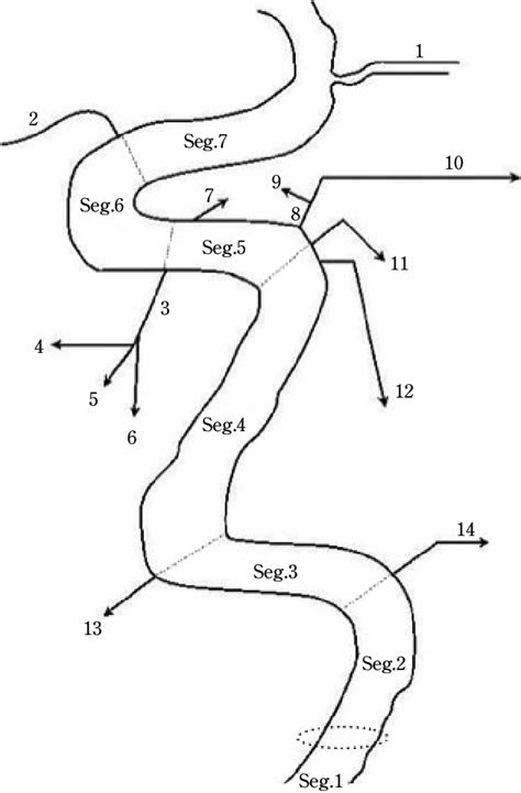 segmentation of internal carotid artery 1 posterior communicating