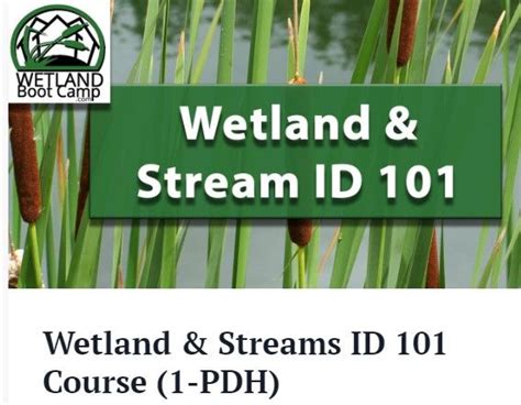Free Wetland And Stream Identification 101 1 Pdh In Less Than 1 Hour