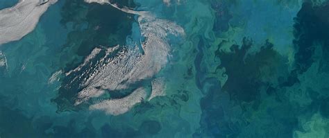 Cloud Optimized Geotiff Vs The Meta Raster Format By E84 Team Element 84 Medium