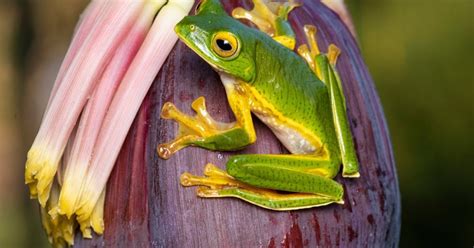 Shiv Iyer On Linkedin Optimize Loyalty Clickhouse Tensorflow Gcloud