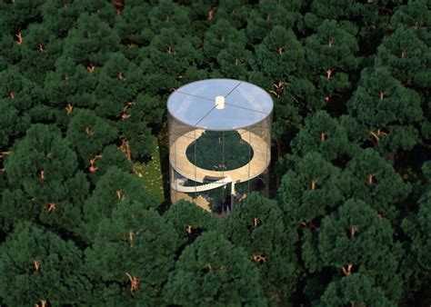 Beautiful Glass House Is Built Around A Tree Adventures Of Yoo