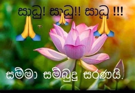නිවන් සුව ලැබේවා Niwan Suwa Lebewa 🌸🌸🌸🌸🌸🌸🌸🌸🌸🌸🌸🌸🌸🌸🌸🌸🌸🌸🌸 🌸🌸 ඔබ සැමට සුභම සුභ නව වසරක් වේවා 🌸🌸 🌸🌸