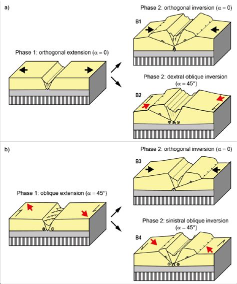 Schematic Summary Of Our Experimental Results Without Syn Rift Download Scientific Diagram