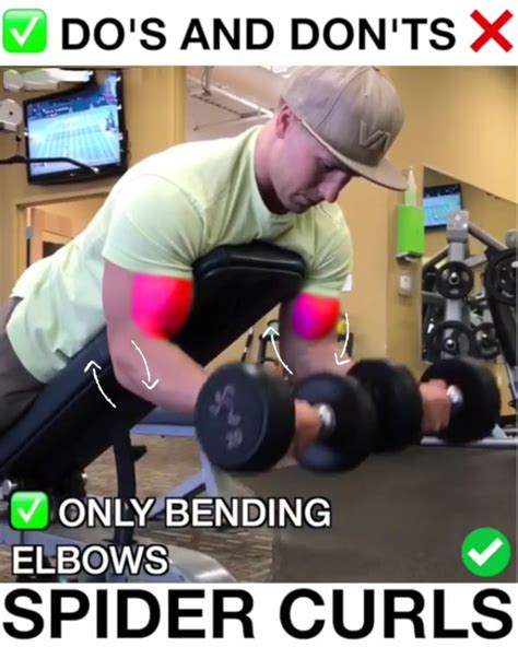 Spider Curls Proper Form Video And Guide