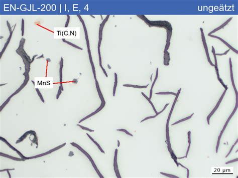 En Gjl 200 51300 Graphite Classification And Fracture Appearance In Tensile Tests Schmitz