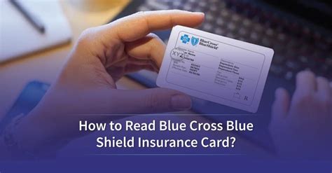 How To Read A Blue Cross Blue Shield Insurance Card With Pictures