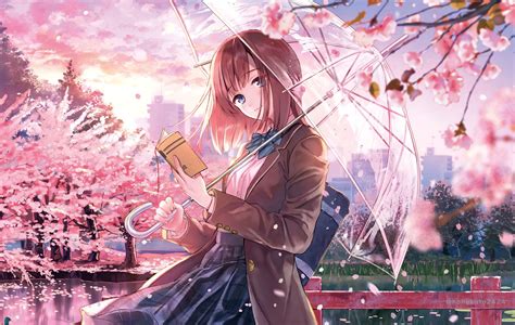 Anime Cherry Blossom Girl Wallpapers Top Free Anime Cherry Blossom