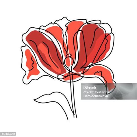 손으로 그린 빨간 꽃잎이 있는 선형 양귀비 꽃 고립 된 벡터 그림입니다 양귀비 꽃 아이콘 로고 레이블 문신 검은색에 대한 스톡 벡터 아트 및 기타 이미지 Istock