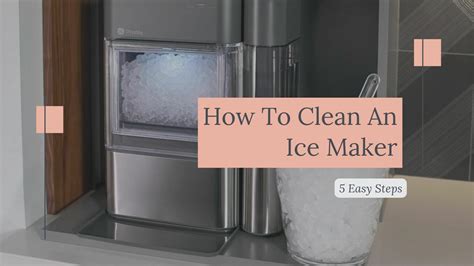 How To Clean An Ice Maker Easy Steps KitchenGuides Org