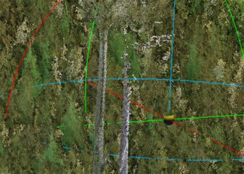 Chapter LiDAR Processing Workflow Guidelines And Procedures For Drone Based Phenotyping In