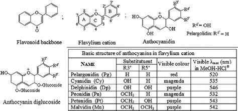 Basic Structures Of The Flavonoid The Flavilyum Cation Anthocyanidin