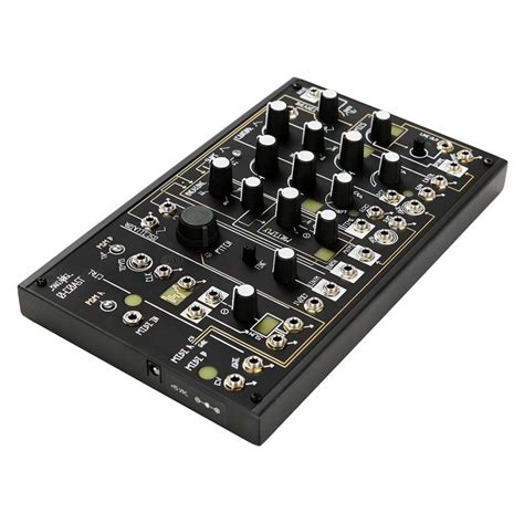 Disc Make Noise 0 Coast Single Voice Patchable Synthesizer 45hp At Gear4music