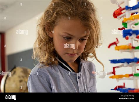 Babegirl Learning On Science Model In Classroom Stock Photo Alamy