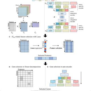 Multi Omics Data Analysis Result Before Drug Treatment A Three Download Scientific Diagram