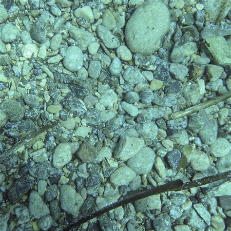 Substratum Component Seamap Australia