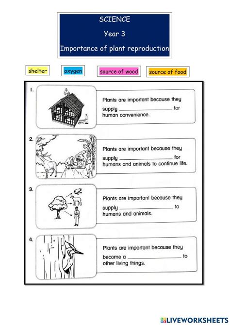 Plants Free Interactive Worksheets 1283781