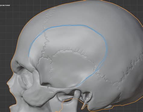 Asset Bundle Base Meshes User Feedback Developer Forum