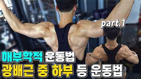 등 운동 광배근 중 하부 운동and루틴 해부학적인 설명과 함께 Part 1 굽은등 체형 필수시청 시티드로우 비하인드넥풀다운