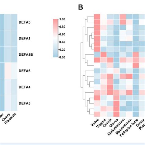 Transcriptome Data Of Defensins In The Female Reproductive Tract A Download Scientific