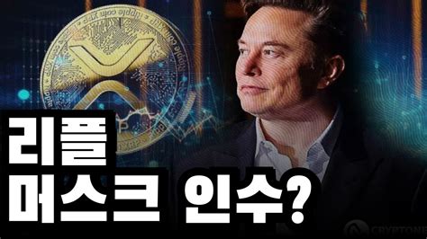 리플 코인 일론머스크가 리플 인수한다고 긴급속보 팩트체크들어갑니다 리플목표가 리플호재 리플전망 리플코인목표가 리플코인호재 리플코인전망 Youtube