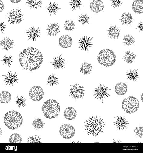 Seamless Pattern Of Outline Microbes Isolated Black Simple Line Element Illustration From A
