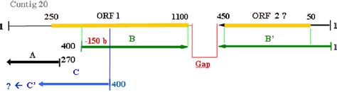 Figure 6 From Optimal Clone Identifier For Genomic Shotgun Libraries Oc Identifier Tool