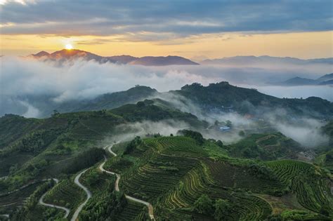 首届中国红茶大会圆满收官 产业趋势“一网打尽”中国国情中国网