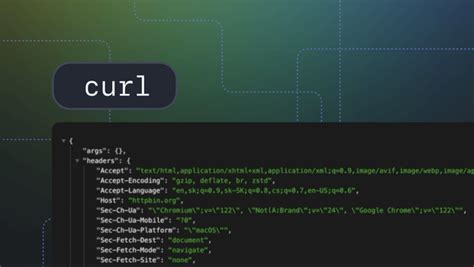 Basic Auth In Curl A Complete Guide