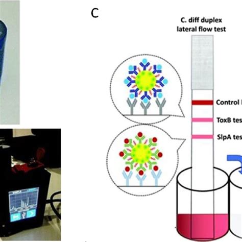 A Image Of 3d Printed Adaptor [26] B Image Displacing How Adaptor Fits Download Scientific