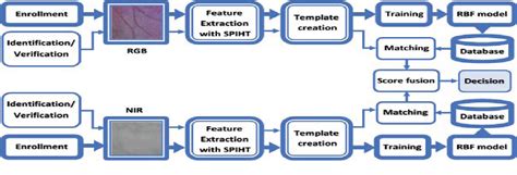 Figure 1 From Multimodal Palmprint Biometric System Using Spiht And Radial Basis Function