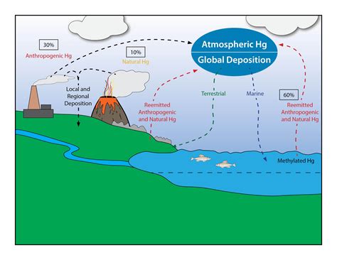 Mercury Testing In Water And Health Effects Of Mercury In Drinking Water