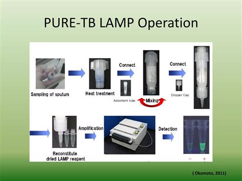 Lamp Loop Mediated Isothermal Amplification Ppt