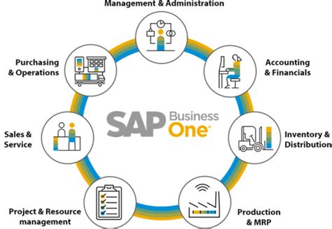 Sap Business One Sap Cloud Solutions Meritoech