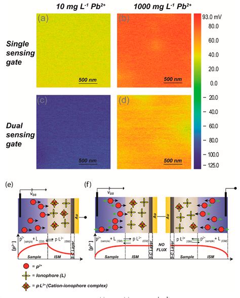 Figure 5 From Dual Gated Transistor Platform For On Site Detection Of Lead Ions At Trace Levels