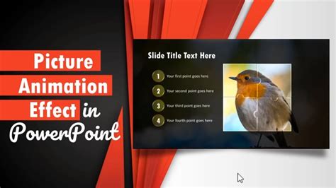 Picture Animation Effect In Powerpoint Youtube