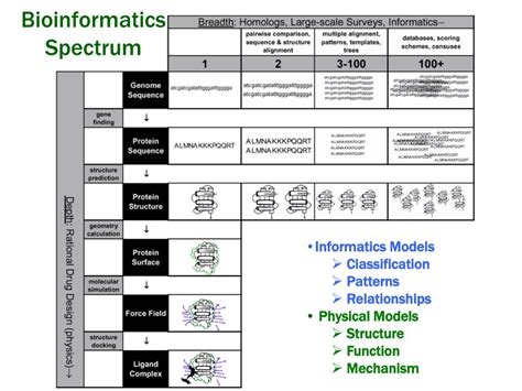 Ppt Visualizing Protein Structures And Structural Bioinformatics Powerpoint Presentation Id