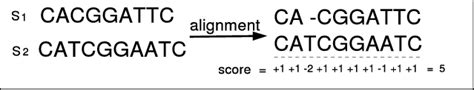 Alignment Between Two Sequences Download Scientific Diagram