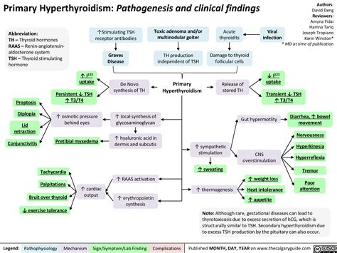Hyperthyroidism Calgary Guide