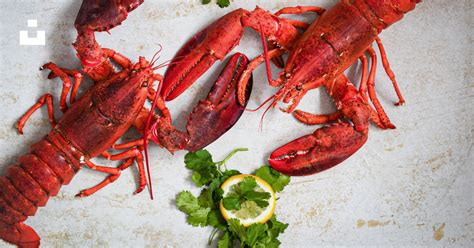 레몬과 파슬리를 곁들인 도마 위에 익힌 랍스터 사진 Unsplash의 무료 런던 이미지