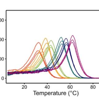 Figure S2 Procedure For Measuring Thermodynamic Parameters Of A DNA Download Scientific