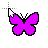 Butterfly Cursors