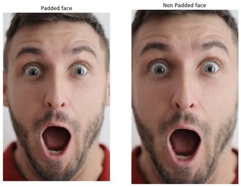 Emotion Facial Expression Recognition With Opencv Bleed Ai
