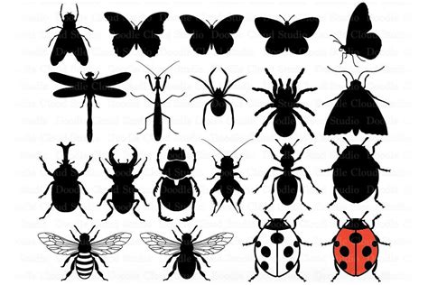 Papercraft Craft Supplies And Tools Insects Svg Insect Vector Insect Svg