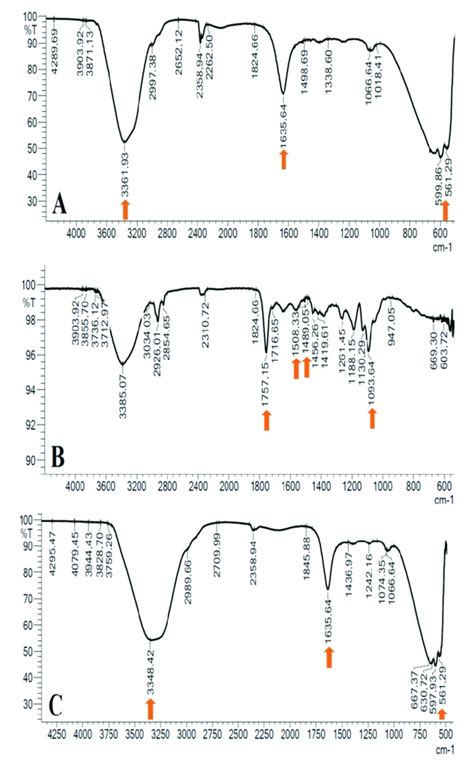 Ftir Spectral Comparison Of Nisin A Free Nisin Loaded Plga Nps B Download Scientific