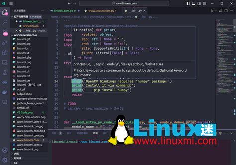 Vs Code 的 10 个必备生产力技巧，让你事半功倍！ Linux迷