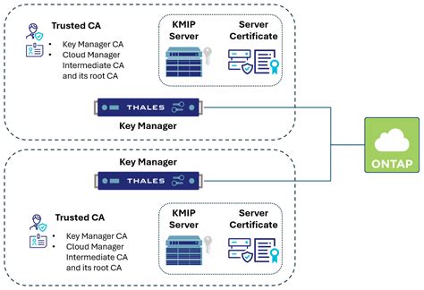NetApp ONTAP Data Management Software NetApp ONTAP Data Management Software